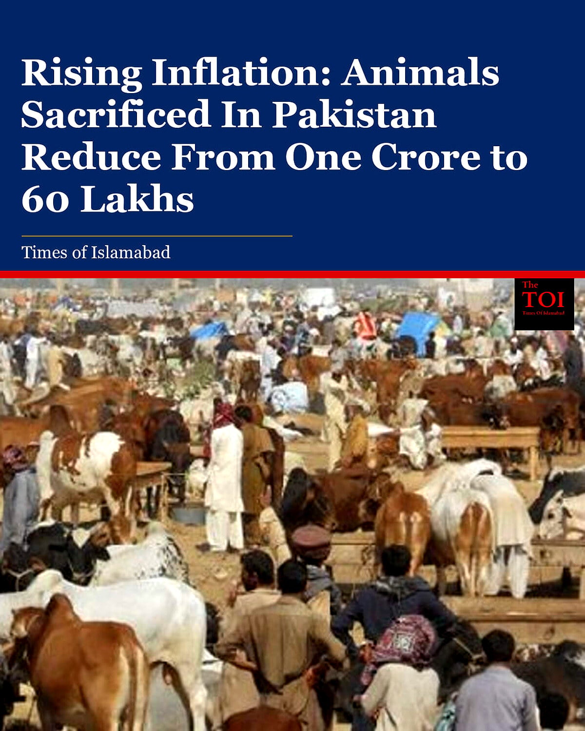 Pakistan Sees Decline in Eid-ul-Adha Animal Sacrifices