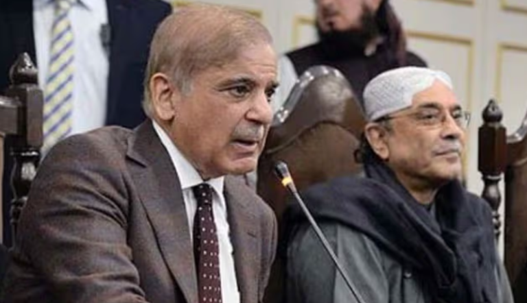 Shehbaz Sharif and Asif Ali Zardari Forge Key Budget Consensus